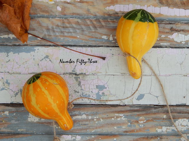 Number Fifty-Three: Simple Fresh Gourd Garland