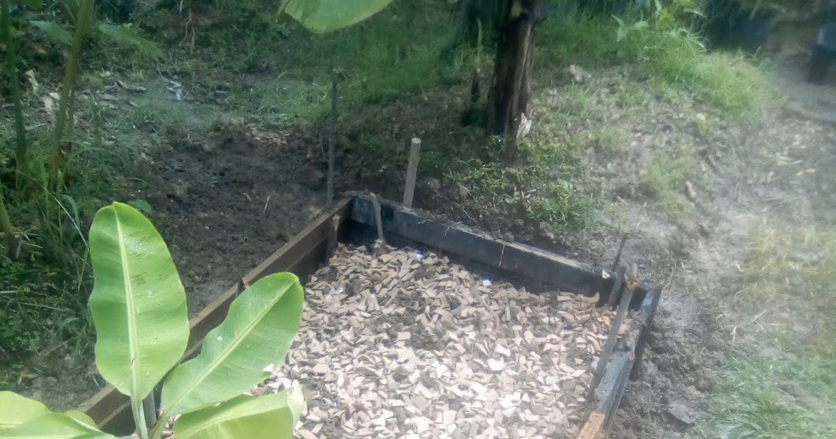 Jom Tanam Sayur ( JTS ) : Batas Timbun Baru No.3 - 2Jom Tanam Sayur ...