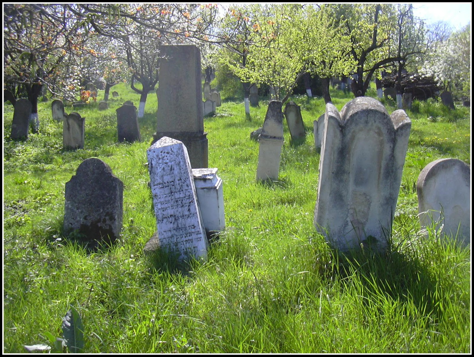 Lumea văzută din Turda: Turda - Biserici si cimitire - imagini de altadata