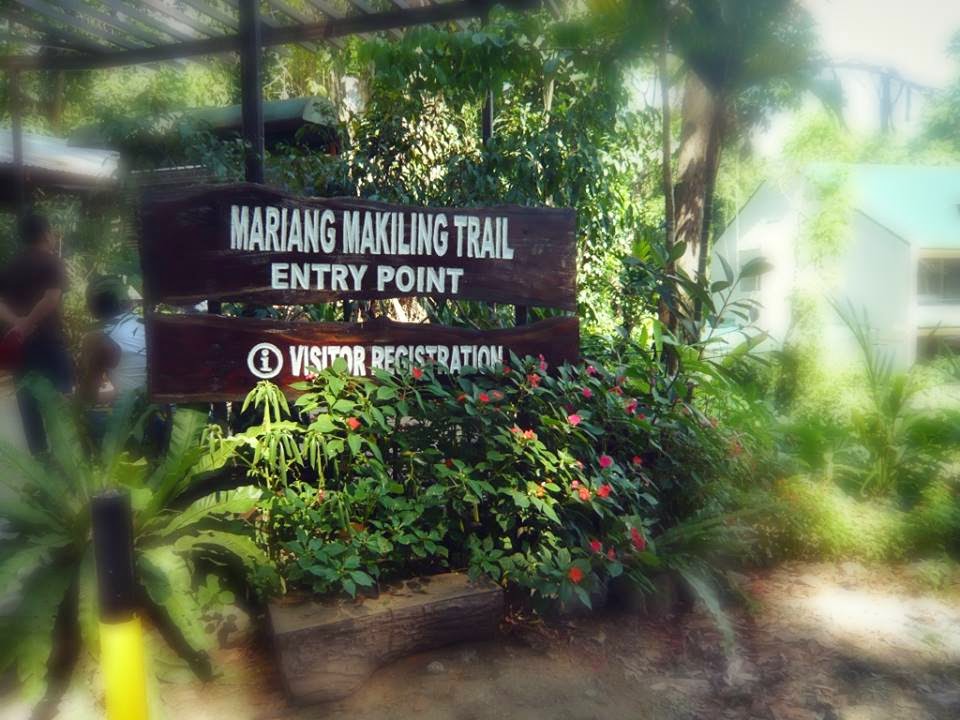 My anything and everything. LIFE & EXPERIENCES: Mount Makiling via UPLB