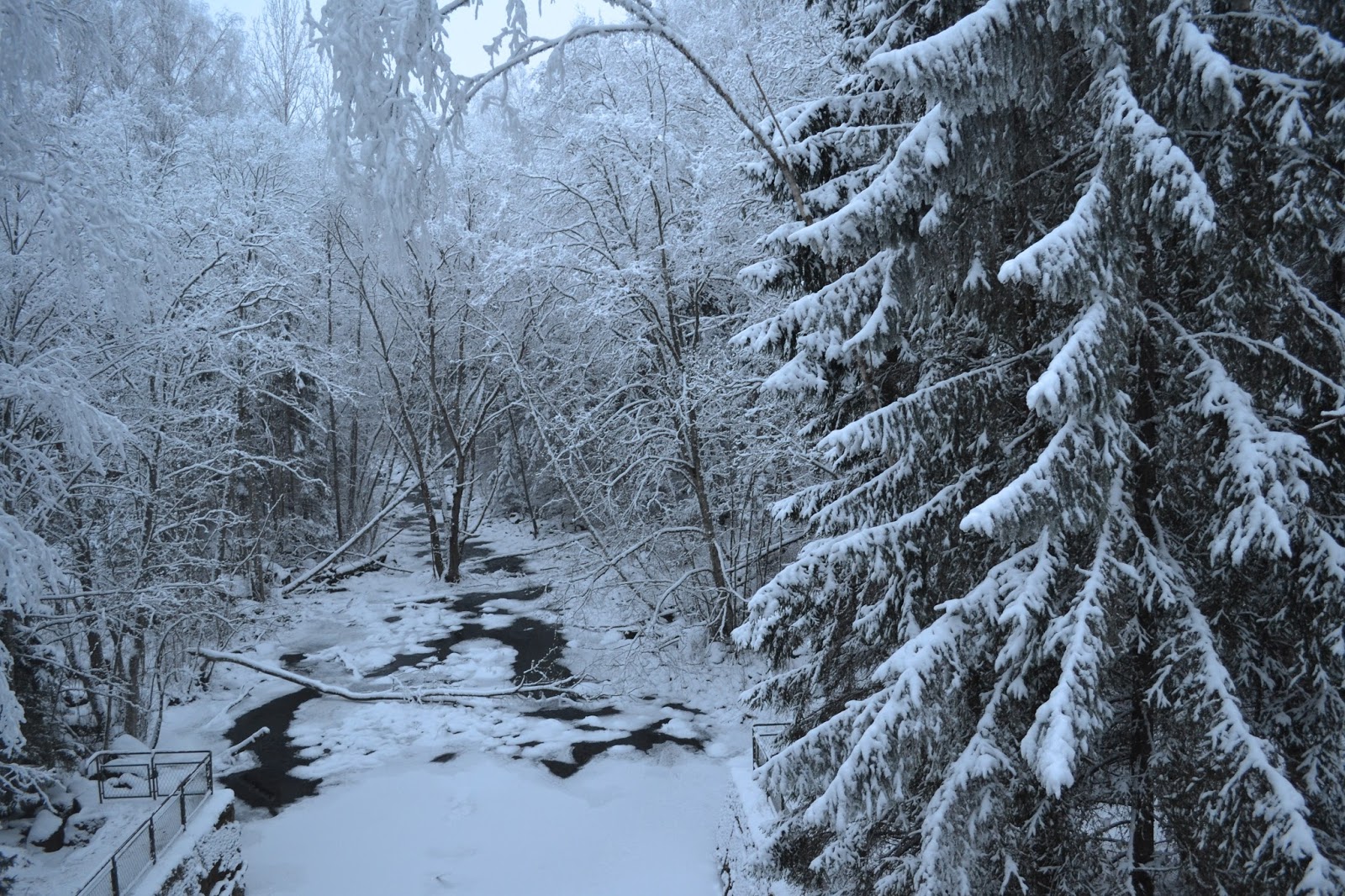 Looduspildid: jaanuar 2016