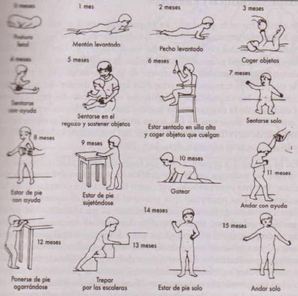 DESARROLLO PSICOMOTOR | MedMommy