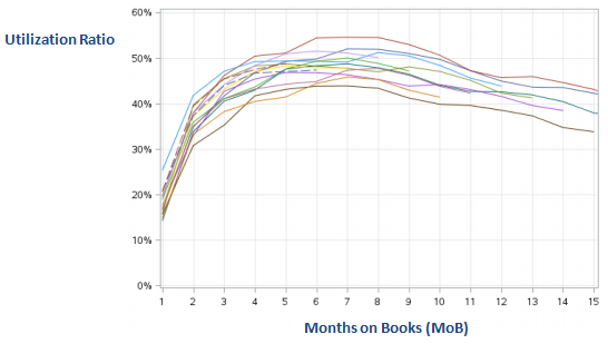 Credit Risk: Vintage Analysis