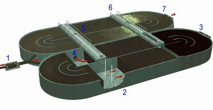 Química medioambiental: El Proceso de fangos activados. Visión general.