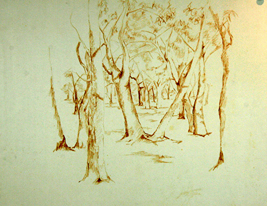 Daily Painters Of Colorado: "Forest" Original Charcoal Landscape ...