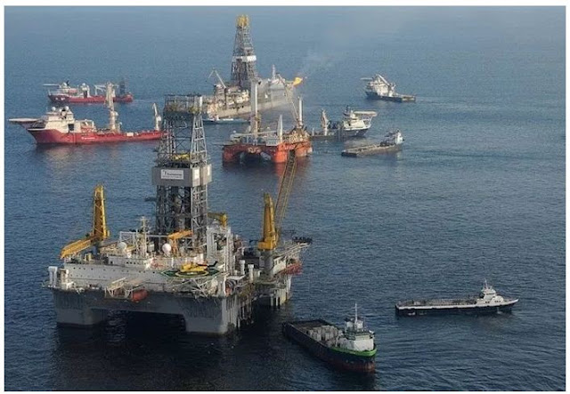 Welcome To Feivel's Blog: FG, IOCs Finalise Evaluation of Bids for $13 ...