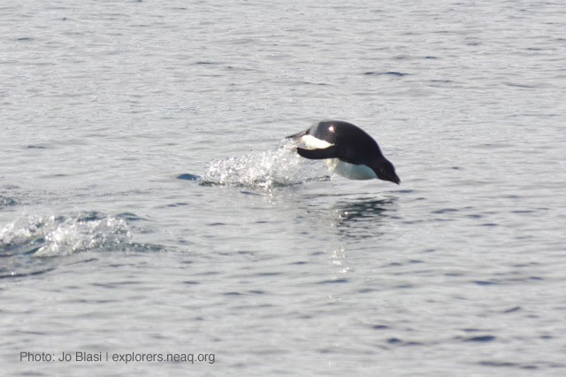 Global Explorers Blog