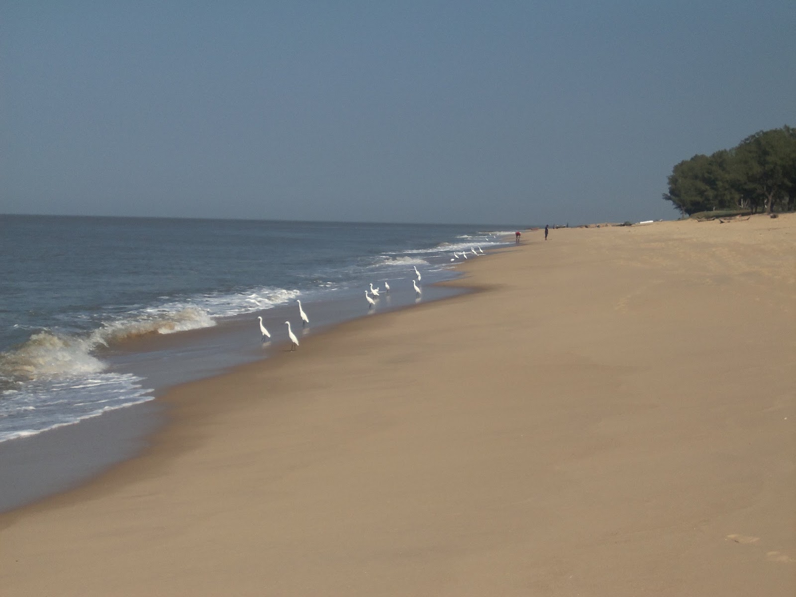 Louthans in Africa: The Beach in Beira, Mozambique!