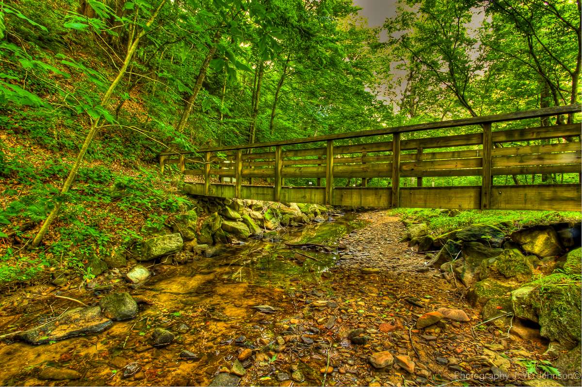 Lincoln's Domain: Morning at Kanawha State Forest on July 4th