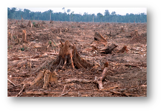 yuvabharathi international school- social science: Causes and Effects ...