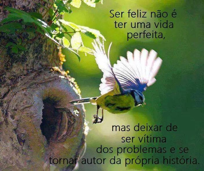 RefletirEnternecer: Entendamos que devemos mudar não somente a ...