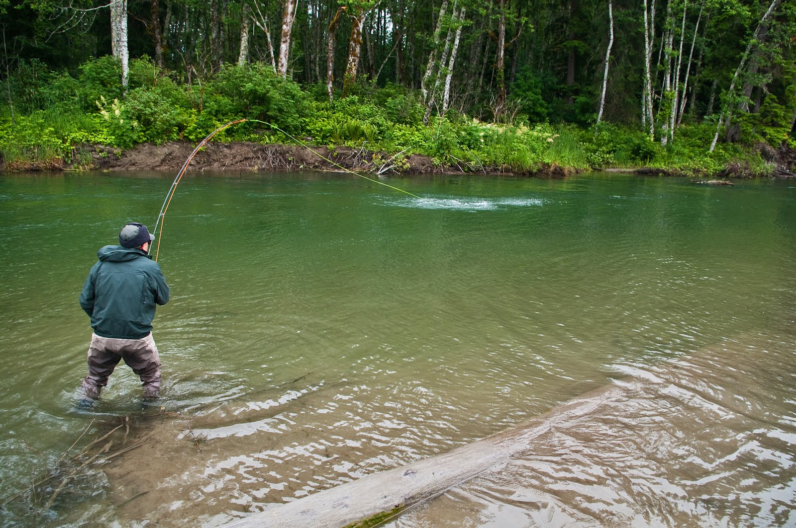 Nicholas Dean Outdoors | Terrace, BC, Canada: More Chinook Fly Fishing ...