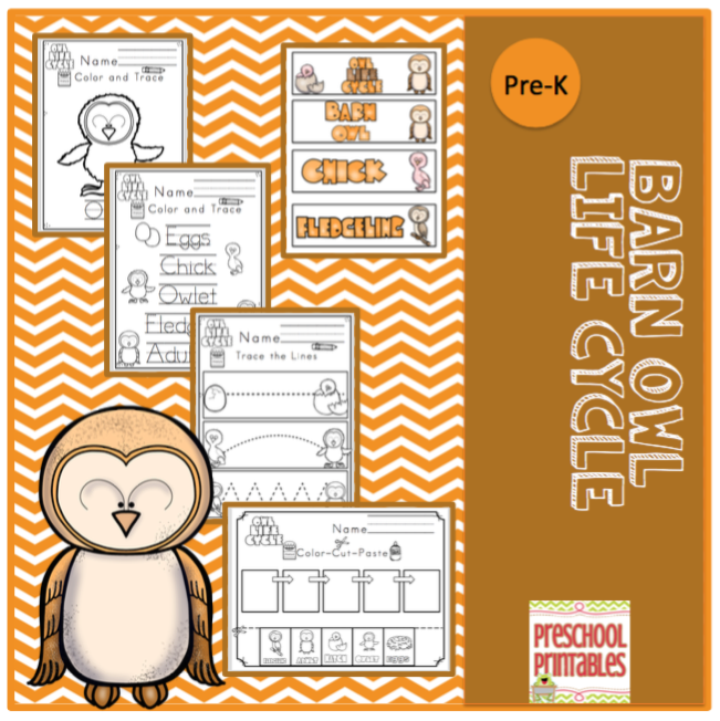 Barn Owl Life Cycle ~ Preschool Printables