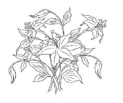 IMAGINI cu buchete si coronite de FLORI de colorat :: Fise de lucru ...