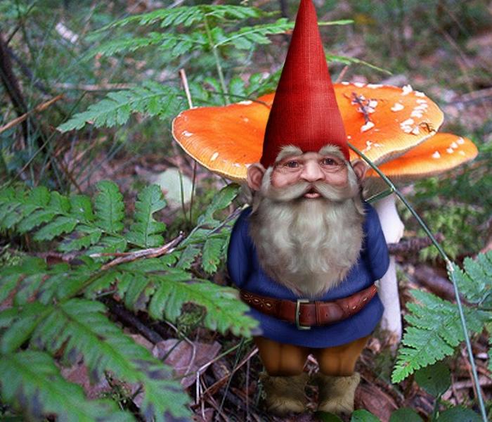 GNOMOS.