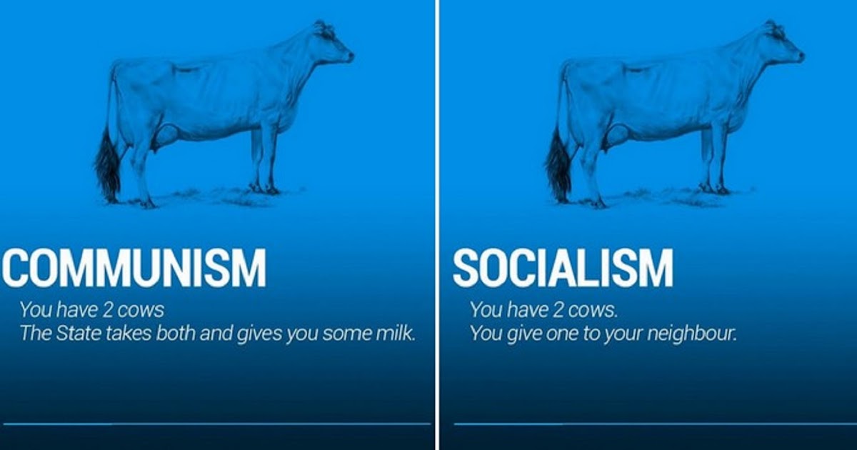 Two Cows Explain The World Economy Better Than Any Professor