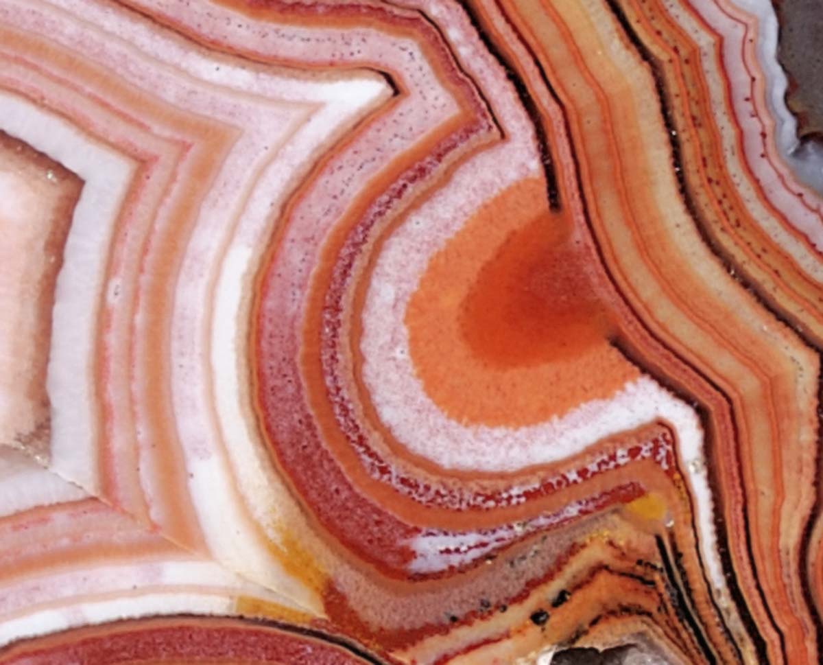 The Agatelady: Adventures and Events: Agate Close Up Pictures