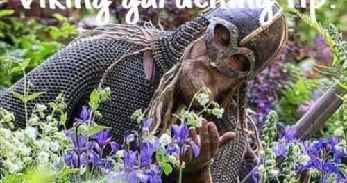 I Have Seen The Whole Of The Internet: Viking Gardening