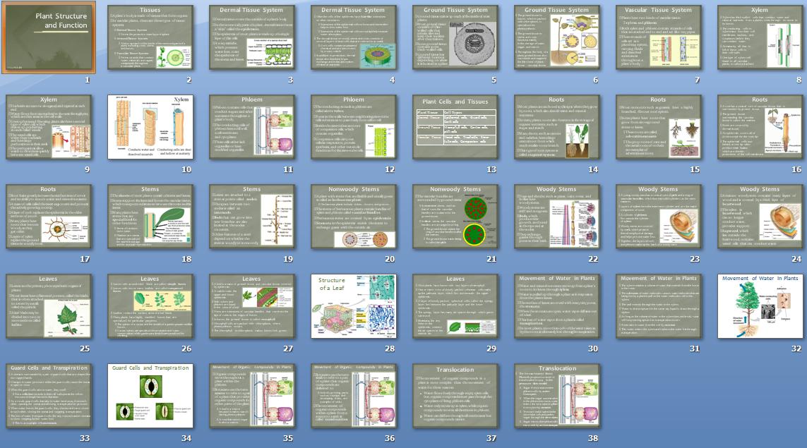 The Lesson Guide: Plant Kingdom Unit Bundle - 35 files