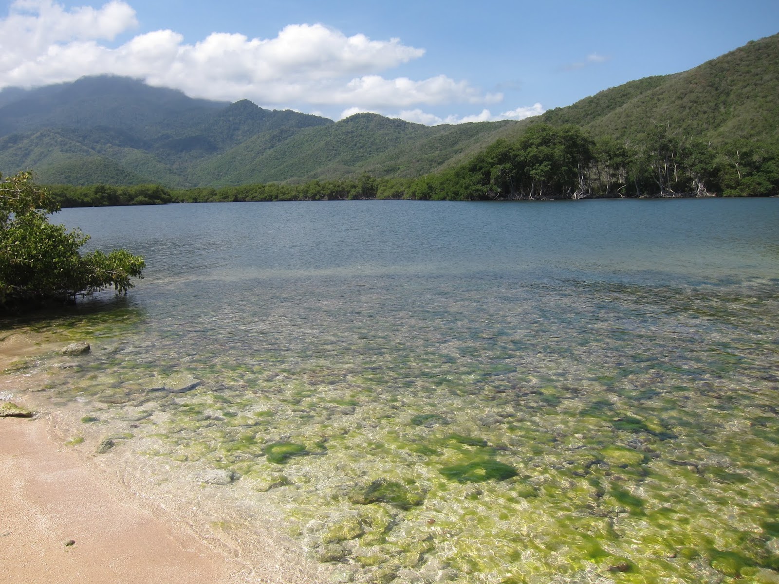 Patanemo, la felicidad del Caribe - Viajero de naturaleza