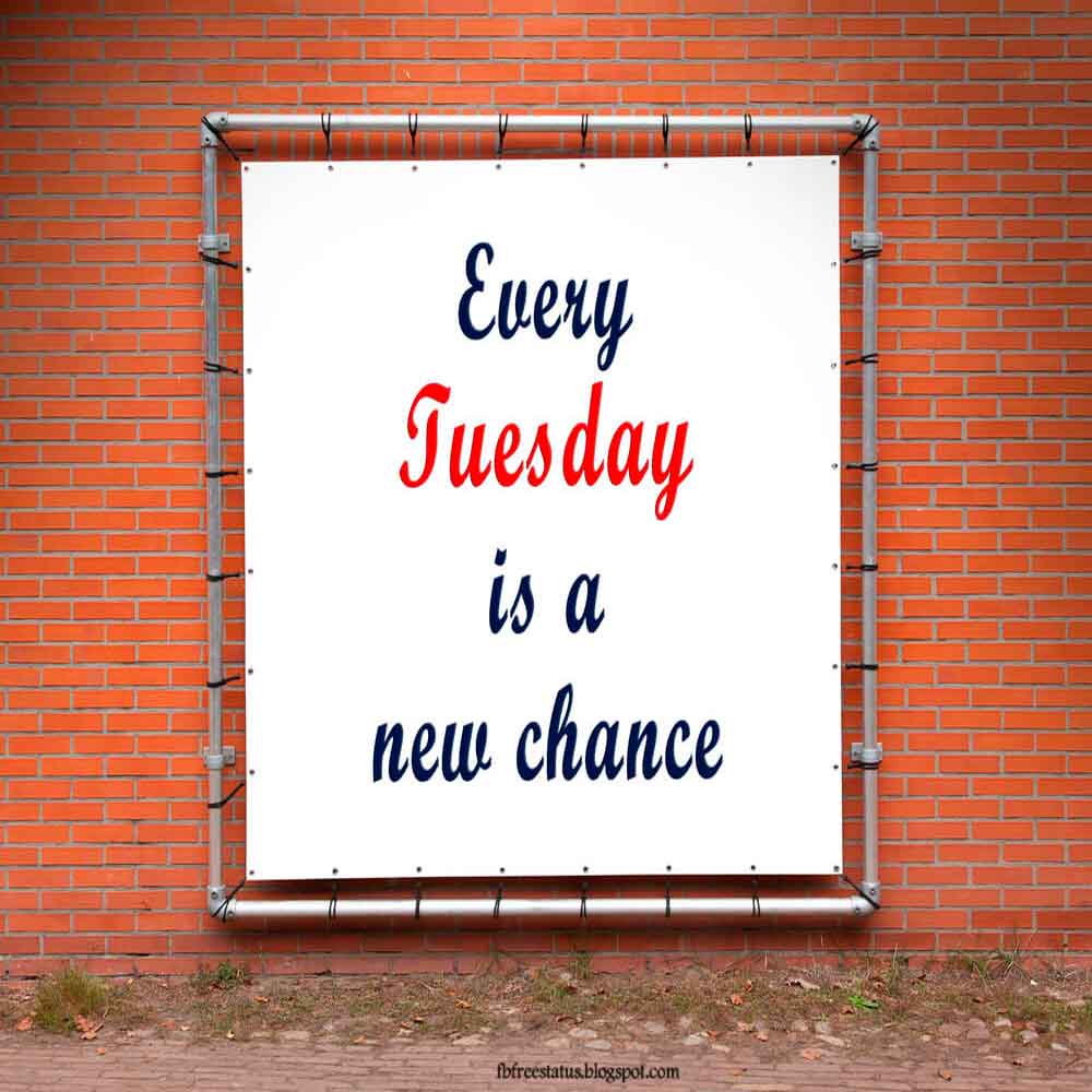 Funny Tuesday Quotes to be Happy on Tuesday Morning