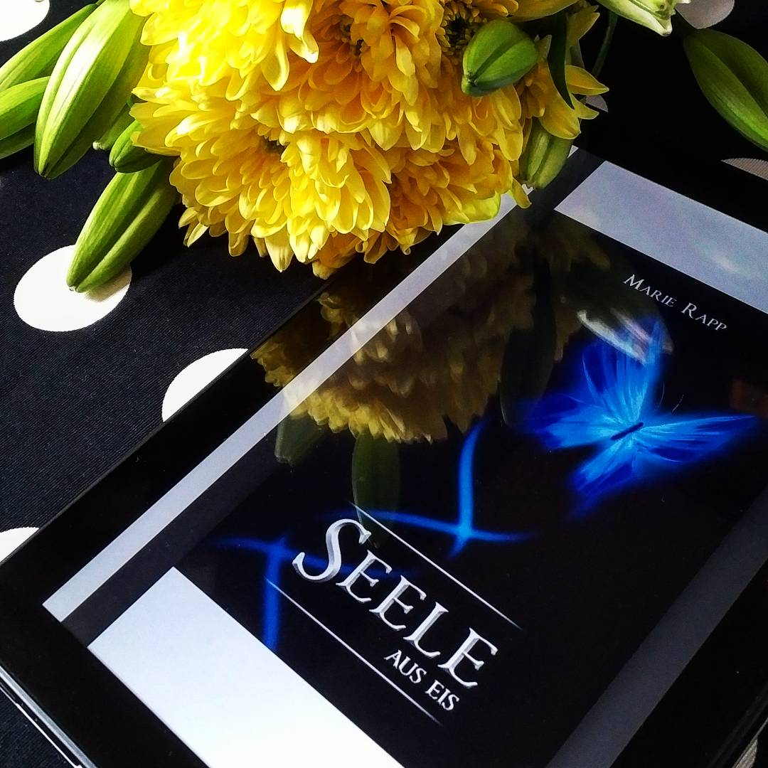 Rezension - "Seele aus Eis" von Marie Rapp - Kiddo Seven