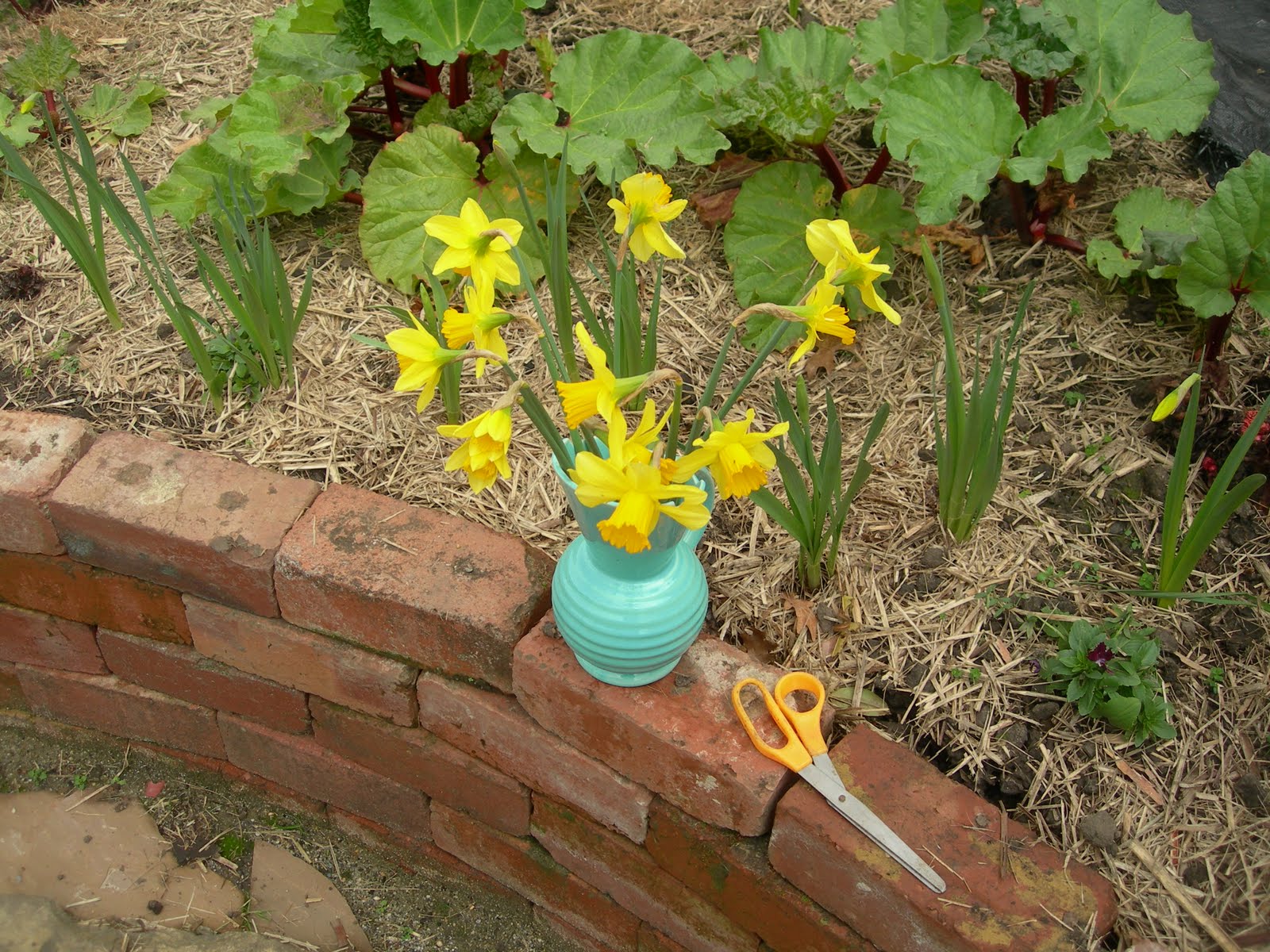 Polystyrene Garden Junkie: 2011
