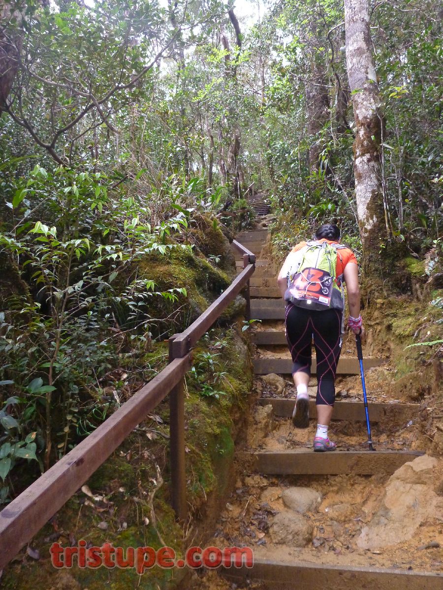 Sabah Adventure Challenge Race Report : Longest Day 1 ~ TRISTUPE.COM
