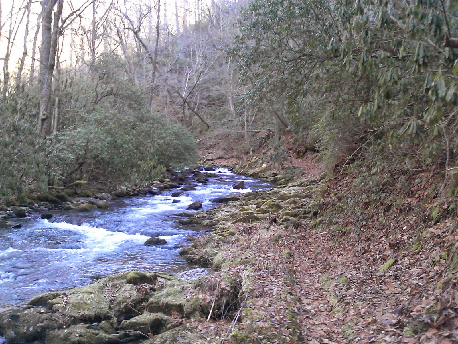 Hikes: Deep Creek - Martins Gap - Sunkota Ridge - Thomas Divide