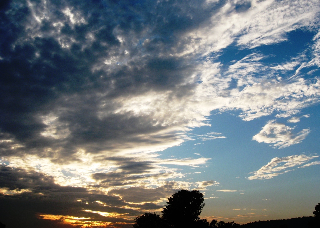 Puneet's Travel Blog.: A little about village Bidholi