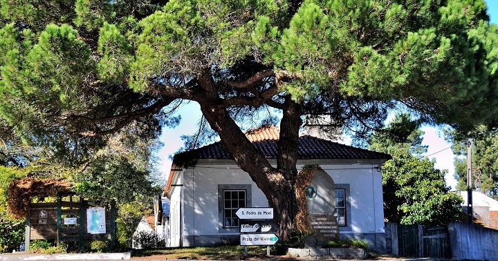 Observatório do Pinhal do Rei
