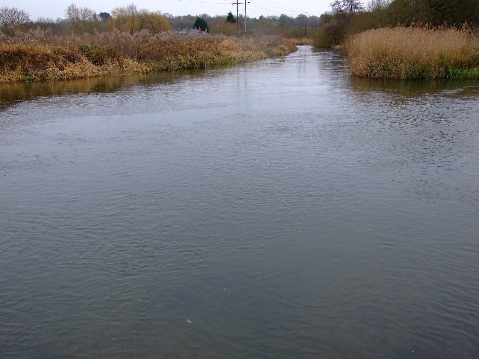 Canoeing and Kayaking on The River Kennet: New year high levels for the ...