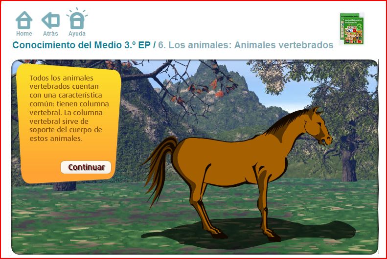 LAS COSAS DE LUIS: JUEGA Y APRENDE CON LOS ANIMALES VERTEBRADOS