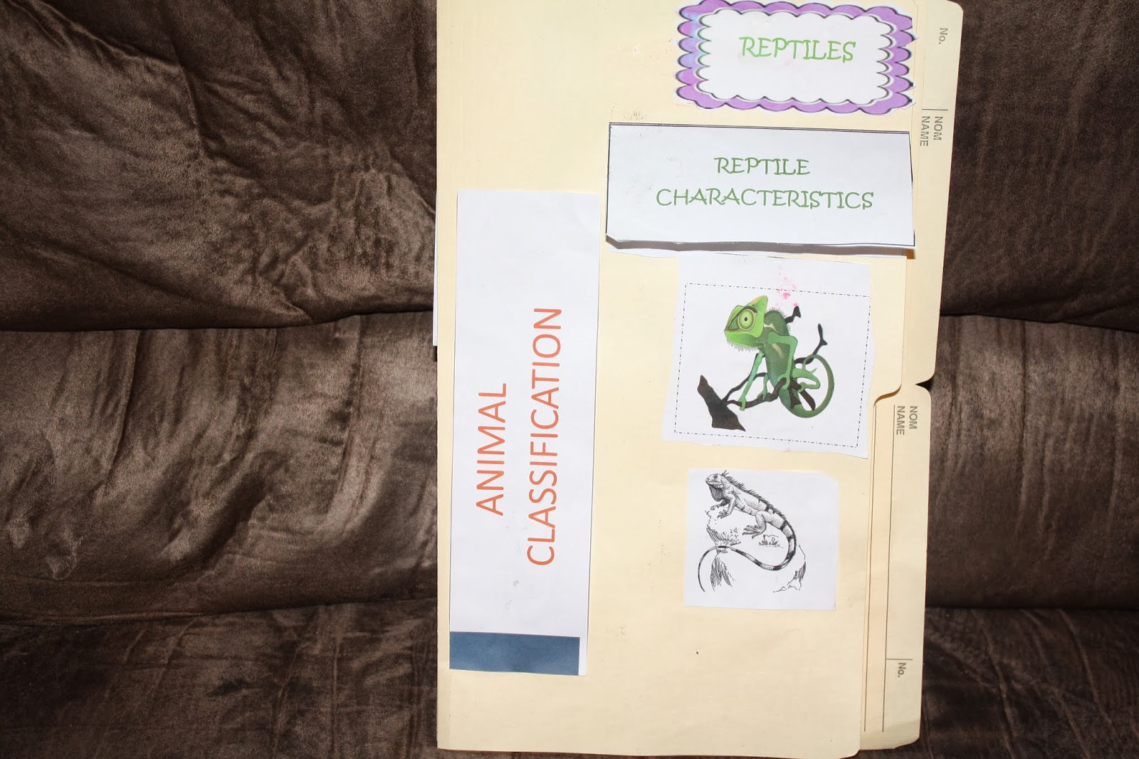 Annie's Adventures In Homeschooling!: Animal Classification/Notebooking ...