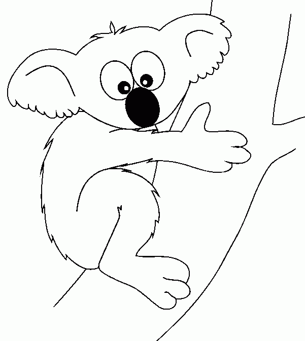 desenhos de koalas para colorir | desenhos para pintar e imprimir