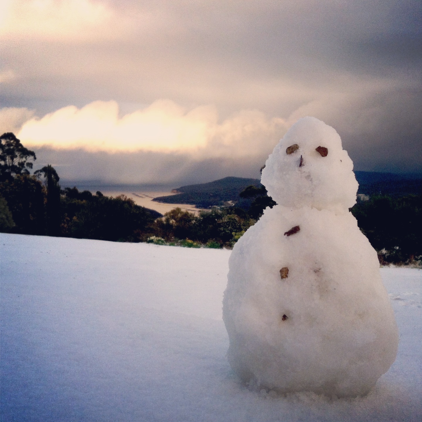 Swallows Nest Farm: 2013