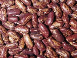 New World Food: Harvest Ingredient 18: New World Beans