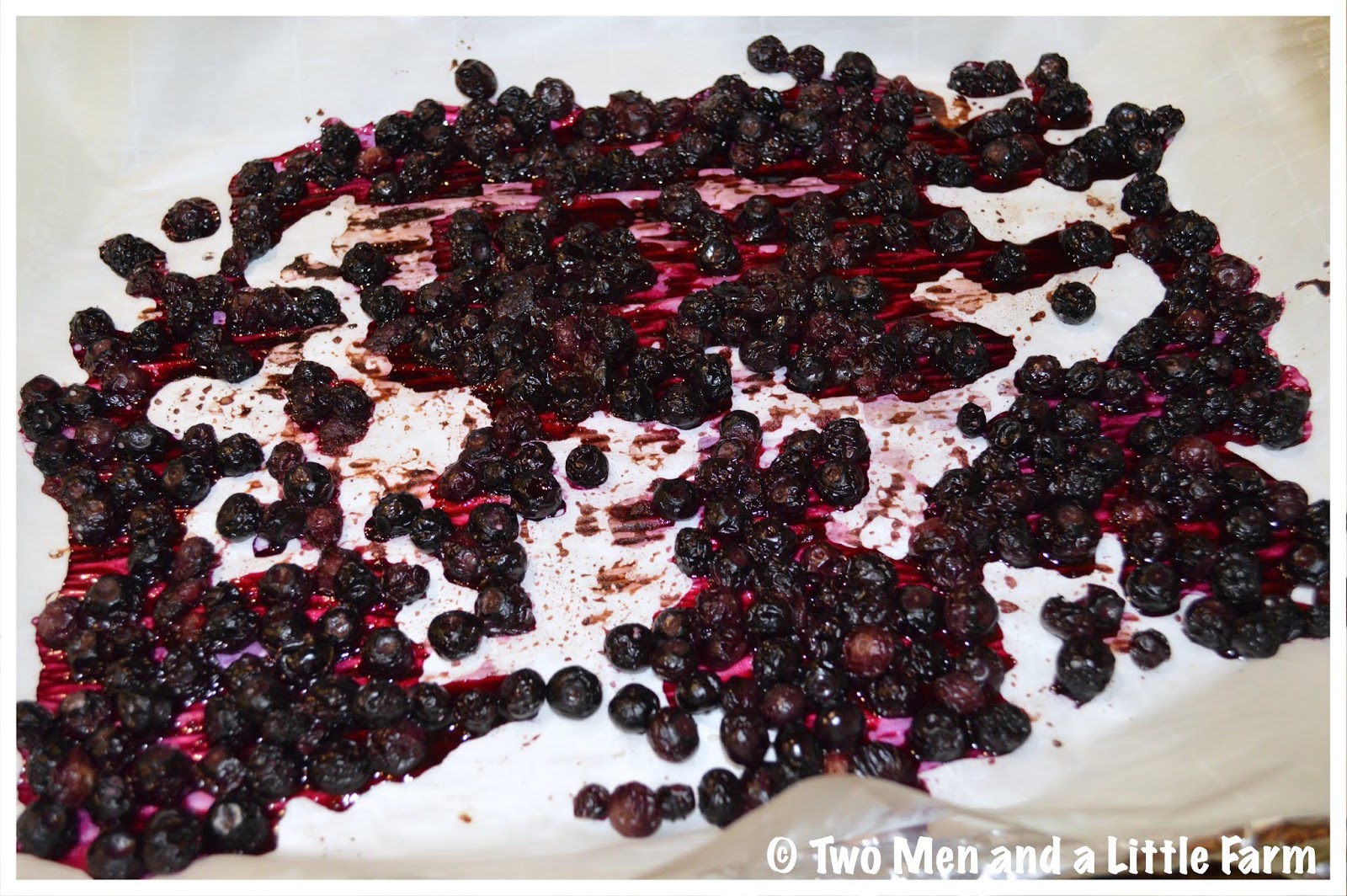 Two Men and a Little Farm: OVEN ROASTED BLUEBERRIES