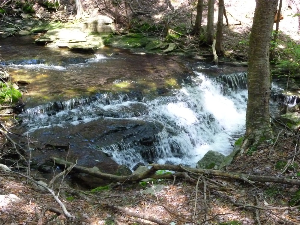 Gone Hikin': Ricketts Glen State Park, PA - Falls Trail, Cherry Run ...