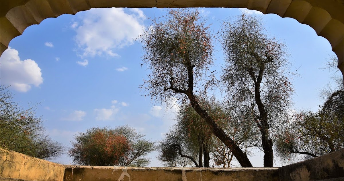 Just Tripping!: A View to the Starry Kareel