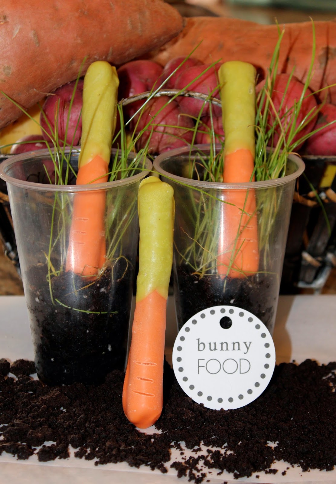 Bolling With 5: Bunny Food & Carrot Patches!