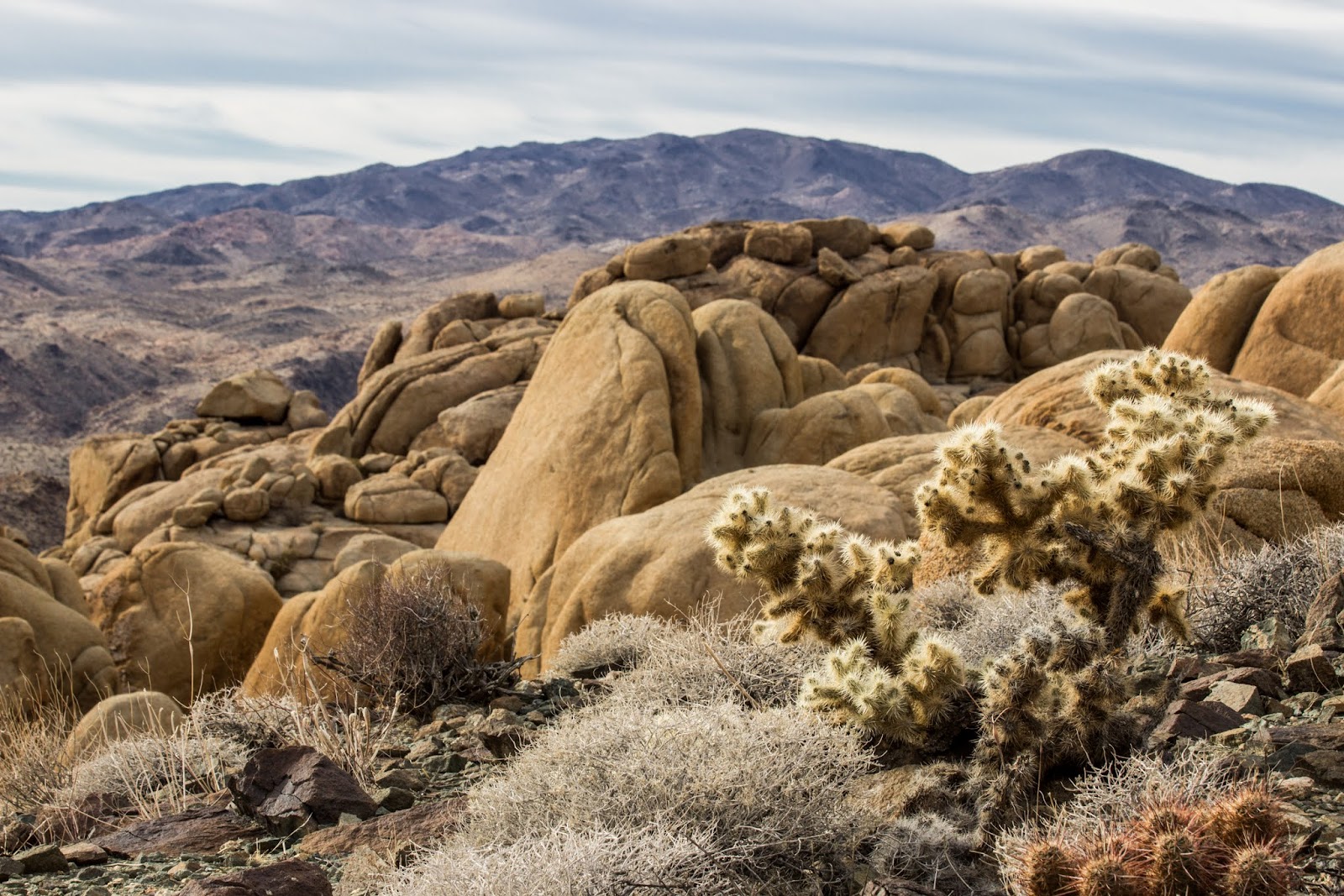 Climbing and Bouldering Mecca at Joshua Tree National Park - Explore ...
