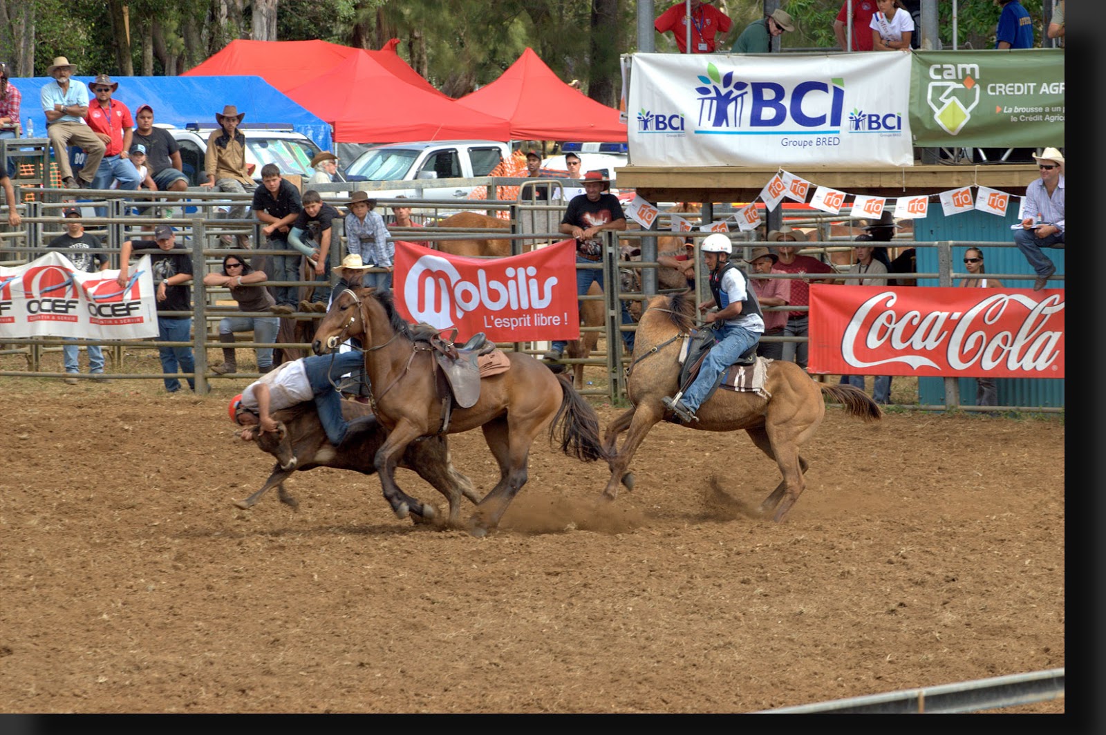 Un dimanche...: Un dimanche au rodéo de Bourail