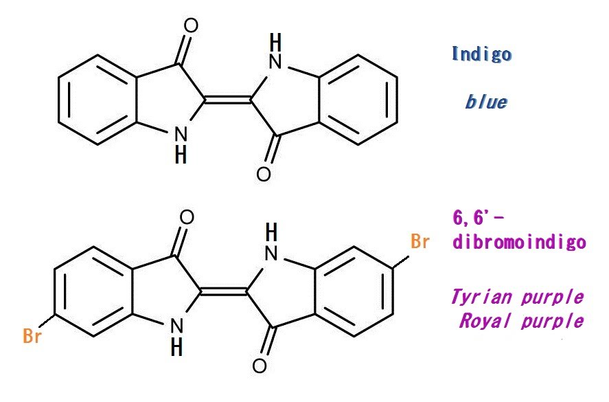 PORPORA: 14 // IL COLORE NELLA CHIMICA