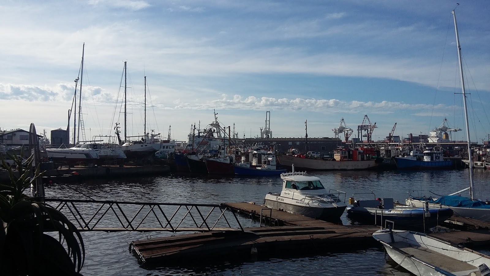 .: Harbour Algoa Bay Port Elizabeth