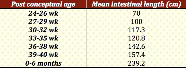 Pediatric Surgery Zone: What is the normal length of small bowel in a ...