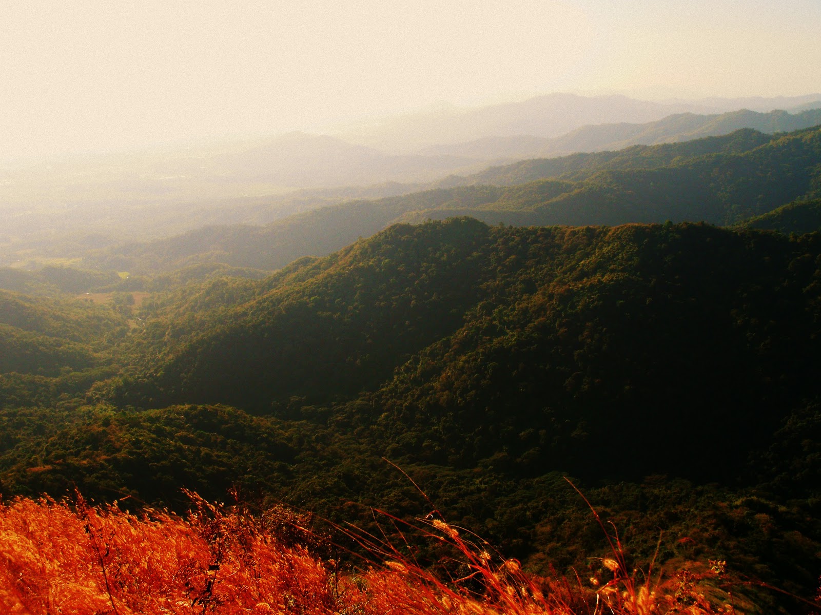 Lady Nyx: My Mt. Damas Adventure (Traverse) in Tarlac