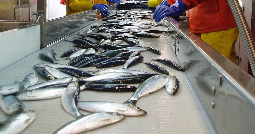 The Aquaculturists: 10/10/2016: Aquafeed manufacturers to benefit from ...