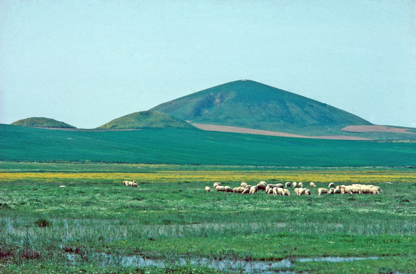 Ancient History: 575-550BC in the Near East