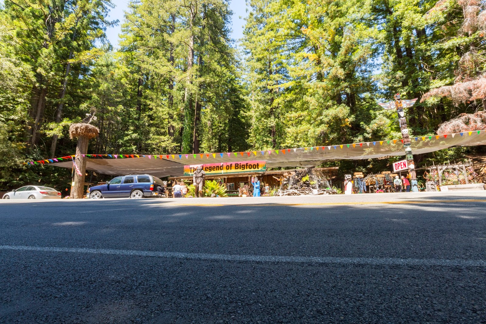 Naturetastic Blog: Leggett, Piercy, Eureka, Arcata Bay - California's Coast